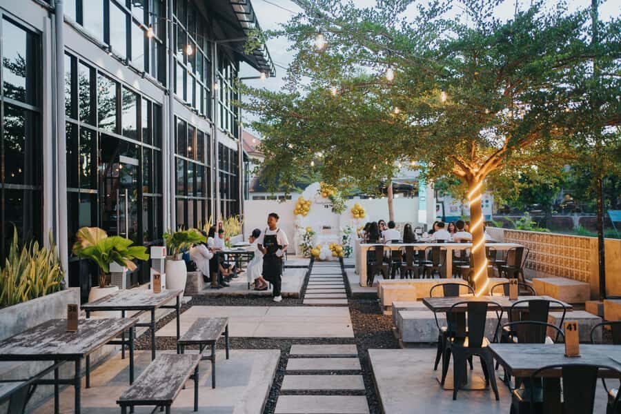 Lovina: Dolphin-Themed Brunch with Ocean Visuals & Music - The Value of This Experience