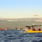 Lovina Watching Swimming with Dolphins and Snorkeling - Timing, Group Size, and Practicalities