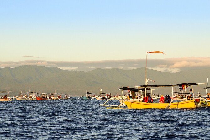 Lovina Watching Swimming with Dolphins and Snorkeling - Timing, Group Size, and Practicalities
