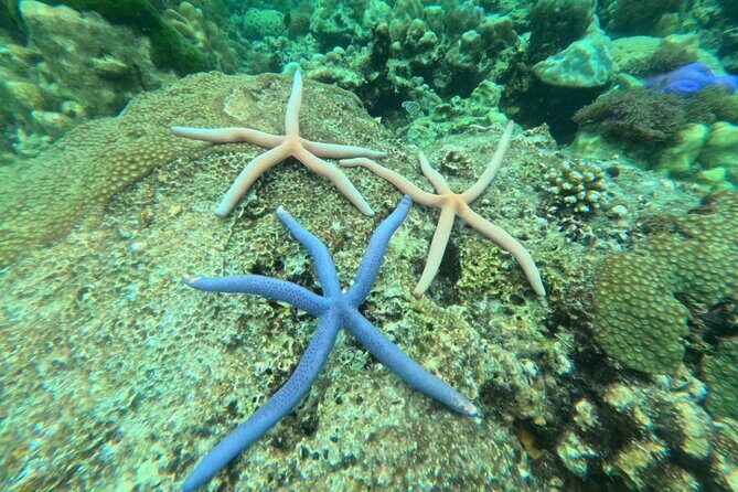 Low Season Lipe Island Snorkeling Adventure (June-Oct) - The Sum Up