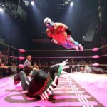 Lucha Libre Tickets & Tacos & Beer & Mezcal = BEST NIGHT EVER! - Key Points