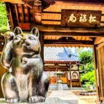 Lucky Cats Temple & Old Tokyo Yanaka 1/2-Day Walking Private Tour - The Practicalities and Value