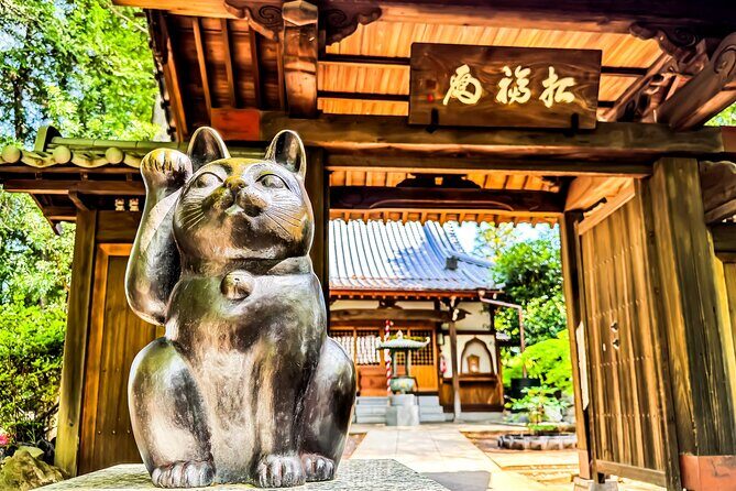 Lucky Cats Temple & Old Tokyo Yanaka 1/2-Day Walking Private Tour - The Practicalities and Value