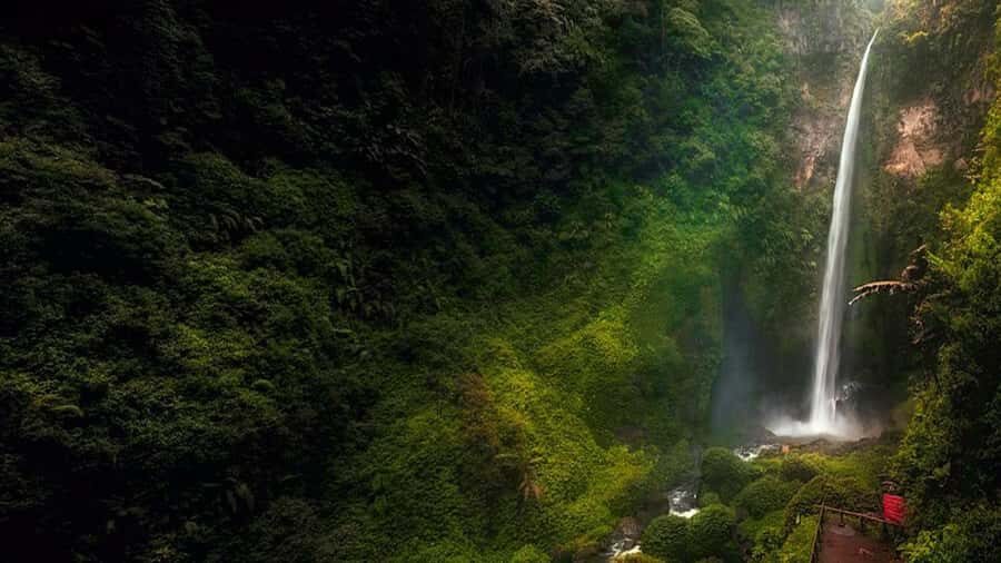 Lumajang or Malang: Kabut Pelangi Waterfall Guided Tour - Detailed Breakdown of the Itinerary