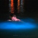 Luminous Lagoon - Overview of the Experience