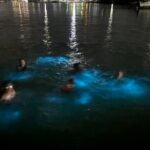 Luminous Lagoon 5 in 1 Experiences - Who Should Consider This Tour?