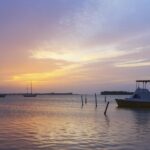 Luminous Lagoon After Dark Tour - The Bottom Line