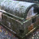 Luminous Lagoon and Rose Hall Haunted Great House Night Tour - The Sum Up