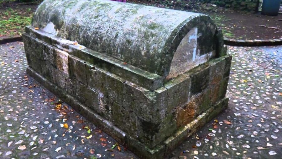 Luminous Lagoon and Rose Hall Haunted Great House Night Tour - The Sum Up