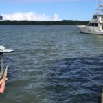 Luminous lagoon Dark night Tour from Ocho Rios and Runaway Bay Hotels - What the Reviews Say