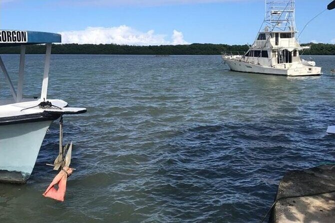 Luminous lagoon Dark night Tour from Ocho Rios and Runaway Bay Hotels - What the Reviews Say