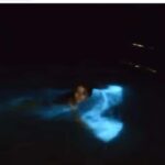 Luminous Lagoon Experience: Ocho Rios Runaway Bay & Falmouth - The Itinerary in Detail