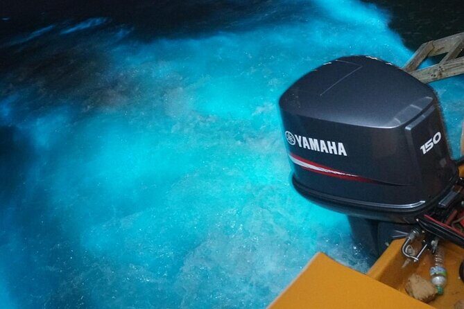 Luminous Lagoon Night Experience From Montego Bay - Who Will Love This Tour?