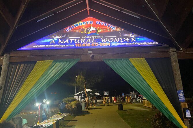 Luminous Lagoon Night Tour from Montego Bay - What Makes This Tour Special?