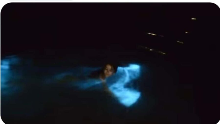 Luminous lagoon : Night Tour from Ocho Rios and Runaway Bay - Who Should Book This Tour?