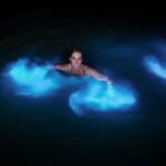Luminous lagoon Night Tour Montego Bay - Why This Tour Stands Out