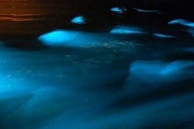 Luminous Lagoon Private Night Tour From Negril - Final Thoughts: Who Should Consider This Tour?