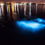 Luminous Lagoon Private Tour in Jamaica - Analyzing the Value and Practical Aspects