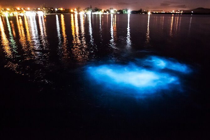 Luminous Lagoon Private Tour in Jamaica - Analyzing the Value and Practical Aspects