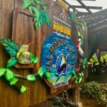 Luminous Lagoon & River Tubing Falmouth from Montego Bay/Falmouth - Transportation and Overall Comfort