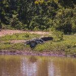 Lunugamwehera National Park (Yala block 5/6) Safari Tour - A Detailed Look at the Tour Itinerary and Experience