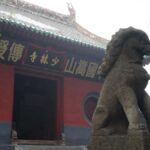 Luoyang: Day tour from Xian or LuoYang with tickets options - How the Tour Feels in Practice