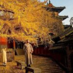 Luoyang Private Tour to Shaolin Temple including Kungfu Lesson - Learning Kungfu: A Hands-On Experience