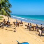 Luquillo Beach Horse Ride from Carabalí Rainforest Adventure Park - What Makes This Tour Special?