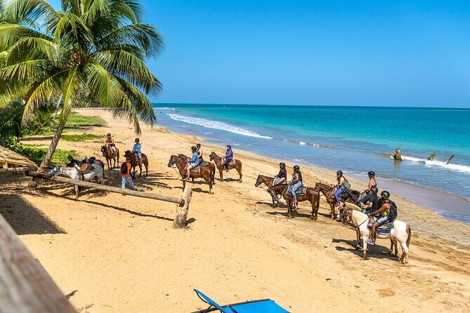 Luquillo Beach Horse Ride from Carabalí Rainforest Adventure Park - What Makes This Tour Special?