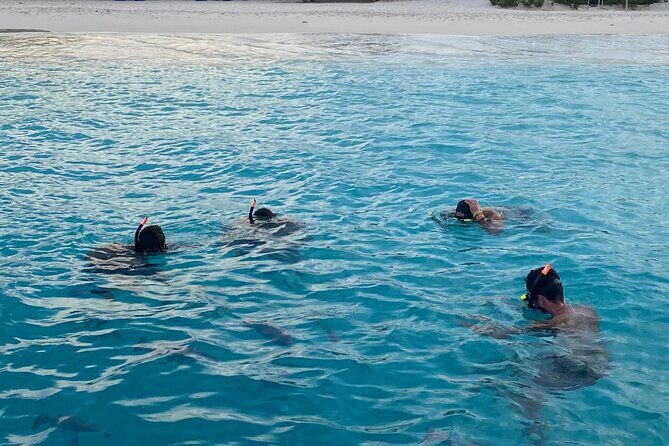 Luxury and Private Snorkel with Beach and Sunset View - The Itinerary: What You Can Expect