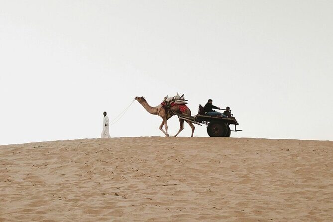 Luxury Camping with Desert Safari In Jaisalmer - Who Should Consider This Tour?