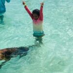 Luxury Catamaran Cruise: Sip, Sail, Snorkel, and Swim with Pigs! - Who Will Enjoy This Tour?