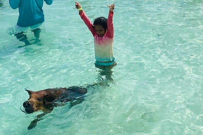 Luxury Catamaran Cruise: Sip, Sail, Snorkel, and Swim with Pigs! - Who Will Enjoy This Tour?