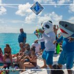 Luxury Catamaran tour to isla mujeres with transportation from Tulum - The Experience From a Traveler’s Perspective