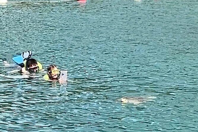 Luxury Catamaran Turtle Snorkel & Sunset Cruise - An Overview of the Experience