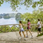 Luxury Day Tour to Ha Long Bay from Hanoi on 5 Star Cruise - Who Should Consider This Tour?