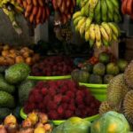 Luxury Day Trip from Colombo to Pinnawala and Kandy Highlights - Detailed Breakdown of the Itinerary