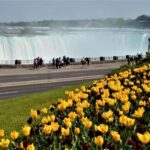 Luxury Day Trip: Niagara on the Lake, Wine & Falls - The Experience We’d Expect