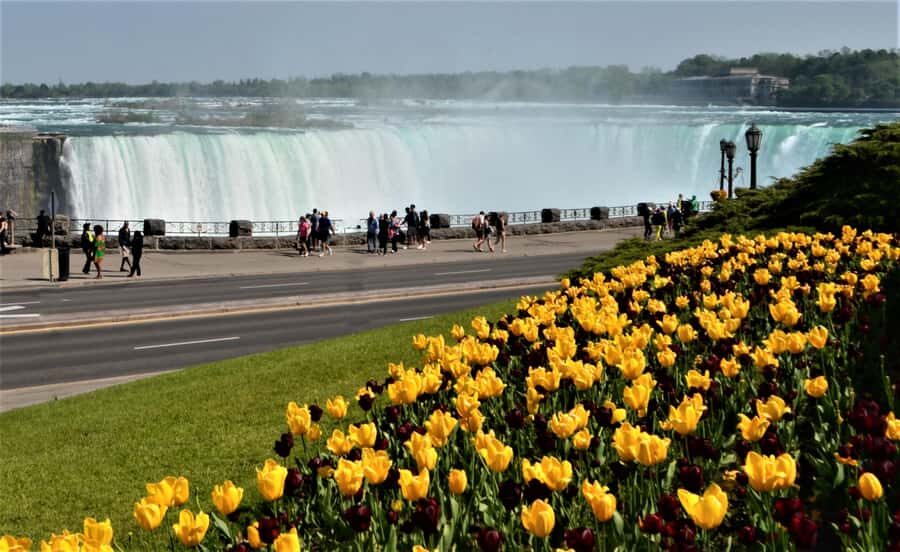 Luxury Day Trip: Niagara on the Lake, Wine & Falls - The Experience We’d Expect
