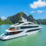 Luxury Halong Bay Day Tour from Hanoi  Buffet, Jacuzzi & Views - Whats Included and Whats Not: Making Your Budget Work