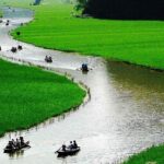 Luxury Hoa Lu - Tam Coc 1 Day Tour From Hanoi - By Limousine & Small Group - The Sum Up