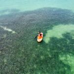 Luxury Mini Yacht Private Cruise in Cotubanamá National Park - How This Tour Compares and How It Adds Value