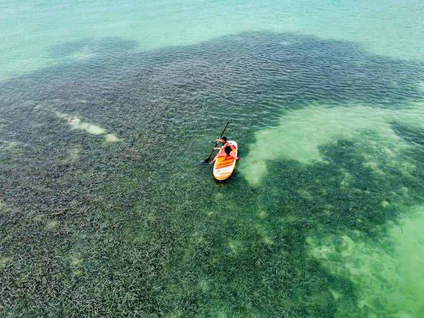 Luxury Mini Yacht Private Cruise in Cotubanamá National Park - How This Tour Compares and How It Adds Value