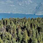 Luxury Private Day Trip: Calgary to Banff Lake Louise - Why This Tour Offers Good Value