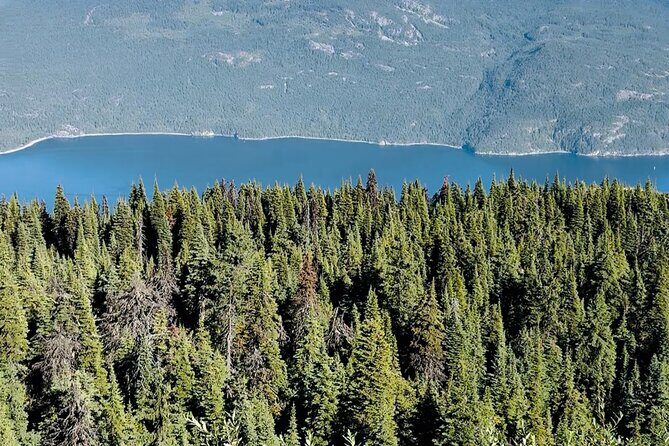 Luxury Private Day Trip: Calgary to Banff Lake Louise - Why This Tour Offers Good Value