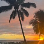 Luxury Private RoundTrip Transfer KOA to Outrigger Kona - Arrival at KOA: Seamless Curbside Pickup