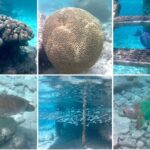 Luxury Sail & Snorkeling - The Practical Details