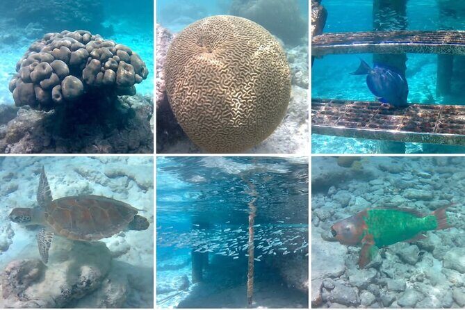 Luxury Sail & Snorkeling - The Practical Details