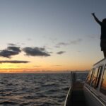 Luxury Sunset Cruise, Snorkeling, Whale & Dolphin Watching - Who Will Enjoy This Tour?