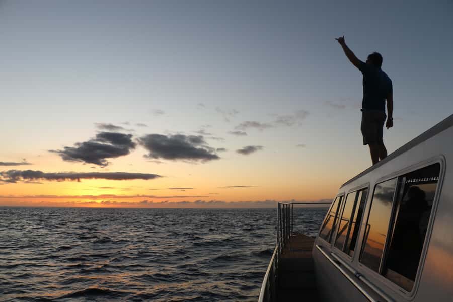 Luxury Sunset Cruise, Snorkeling, Whale & Dolphin Watching - Who Will Enjoy This Tour?